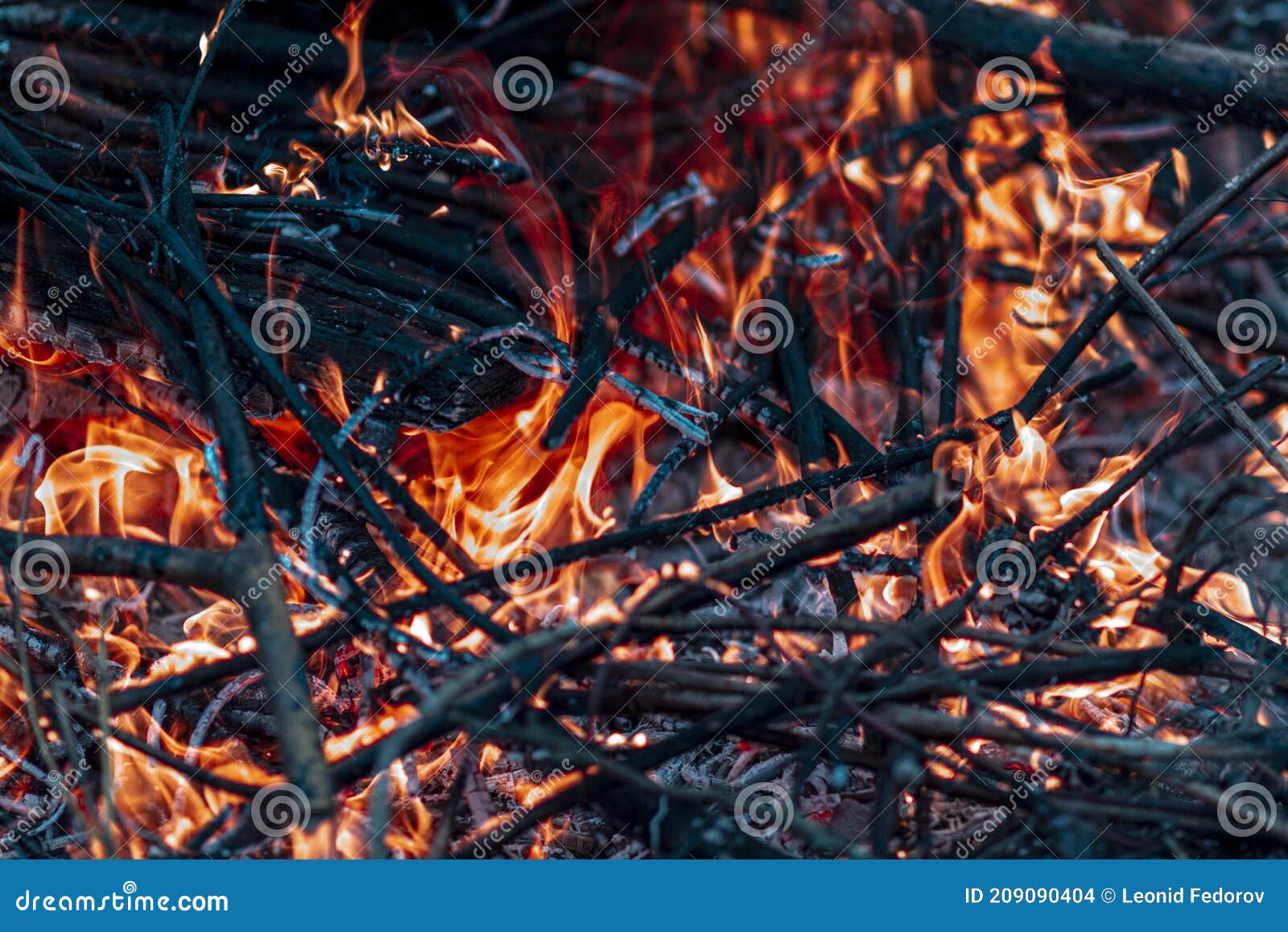 Bonfire. Orange Flame Of A Fire. Bonfire On The Grill With Smoke. Arson ...