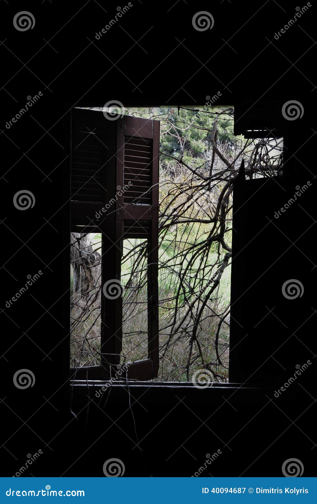 Branches broken window stock image. Image of aged, decline - 40094687