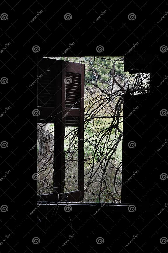 Branches broken window stock image. Image of aged, decline - 40094687