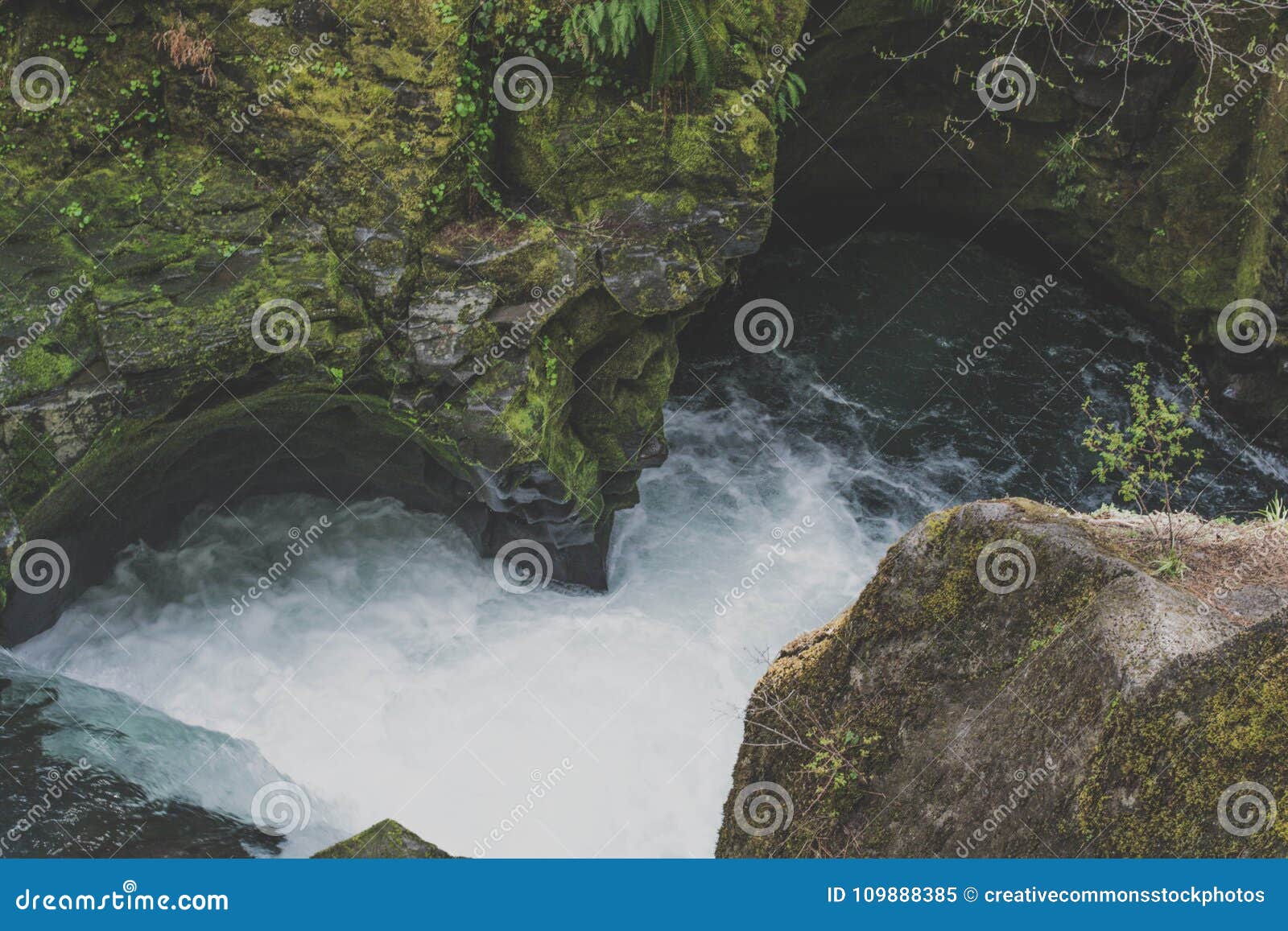 Branches, Cascade, Creek Picture. Image: 109888385