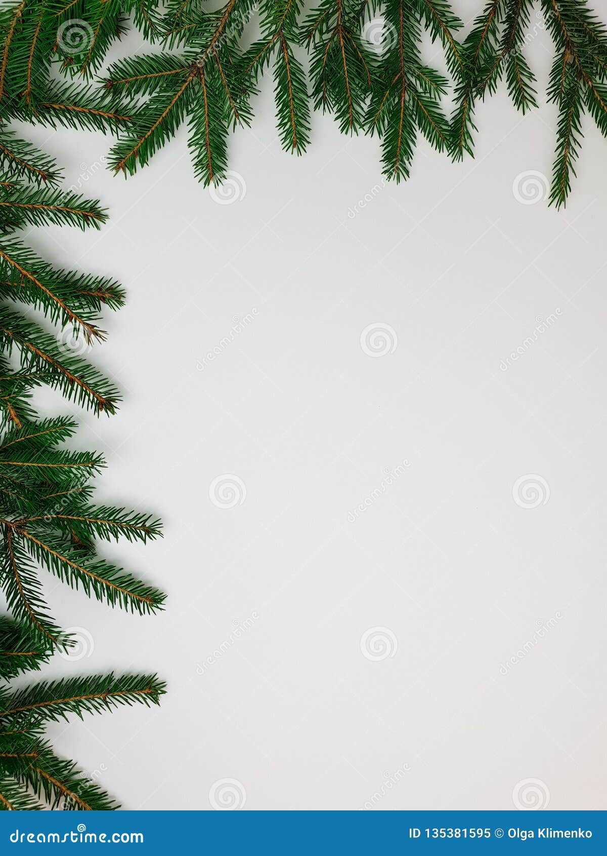 Branches Of The Christmas Tree Border On One Side Of The Long And Short ...