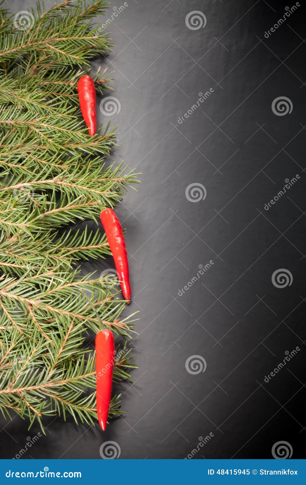 Branches of a Christmas Tree Decorated with Chili Peppers on a D Stock ...