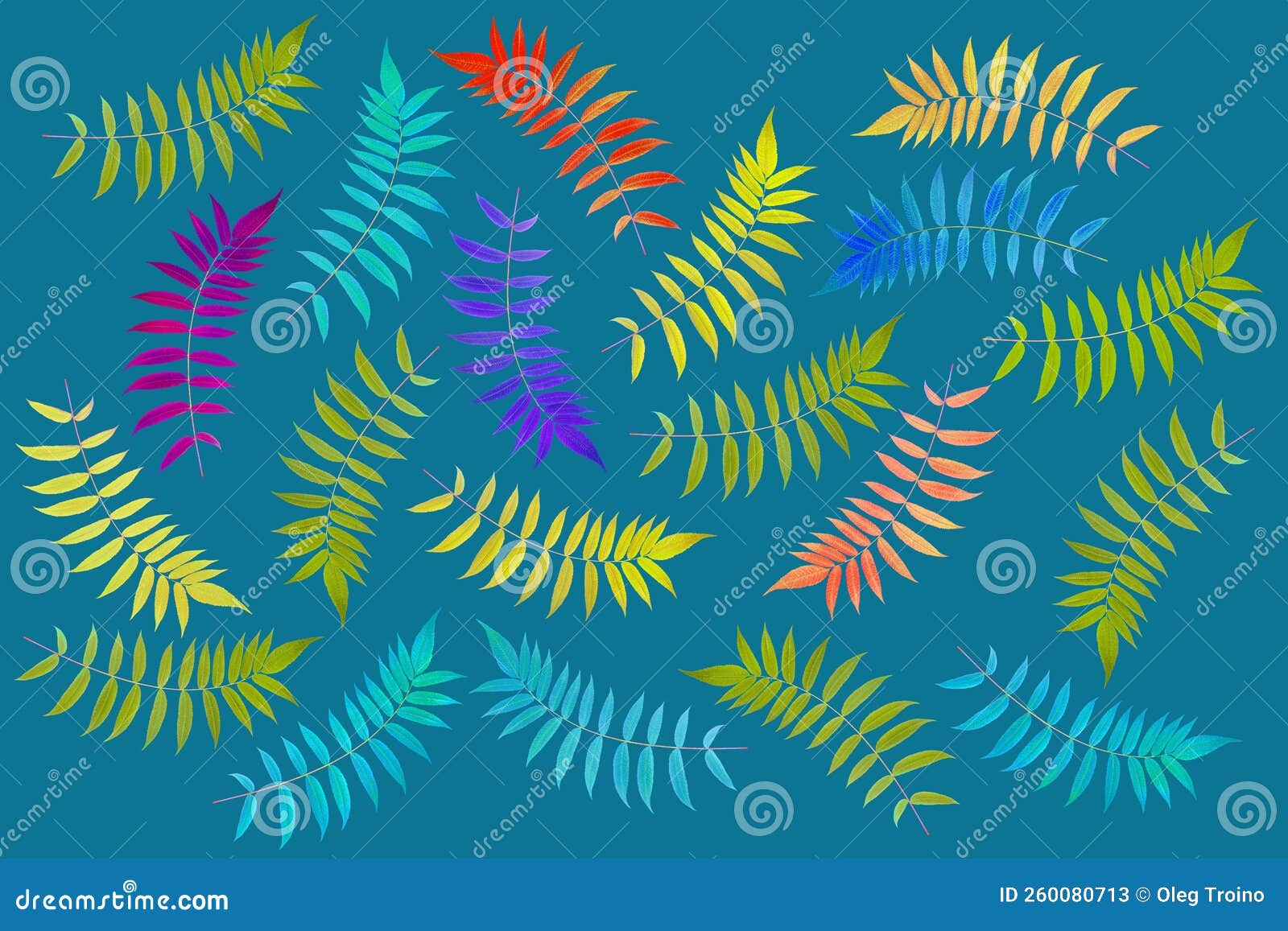 Branches with Colored Leaves on a Dark Background. Vegetation and ...