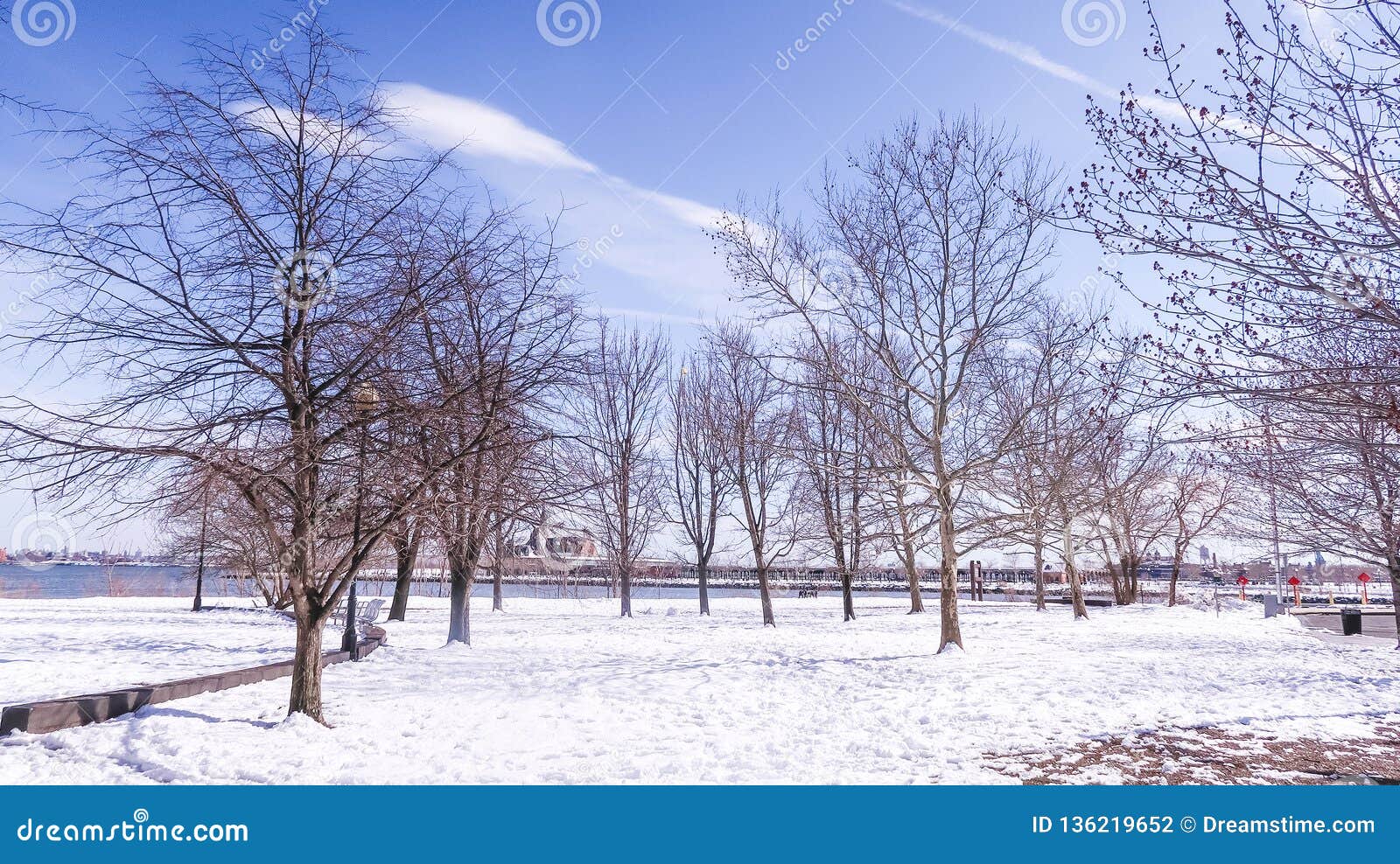 Branches of Dry Wood Trees in Spring Time. Field Covered with Snow ...