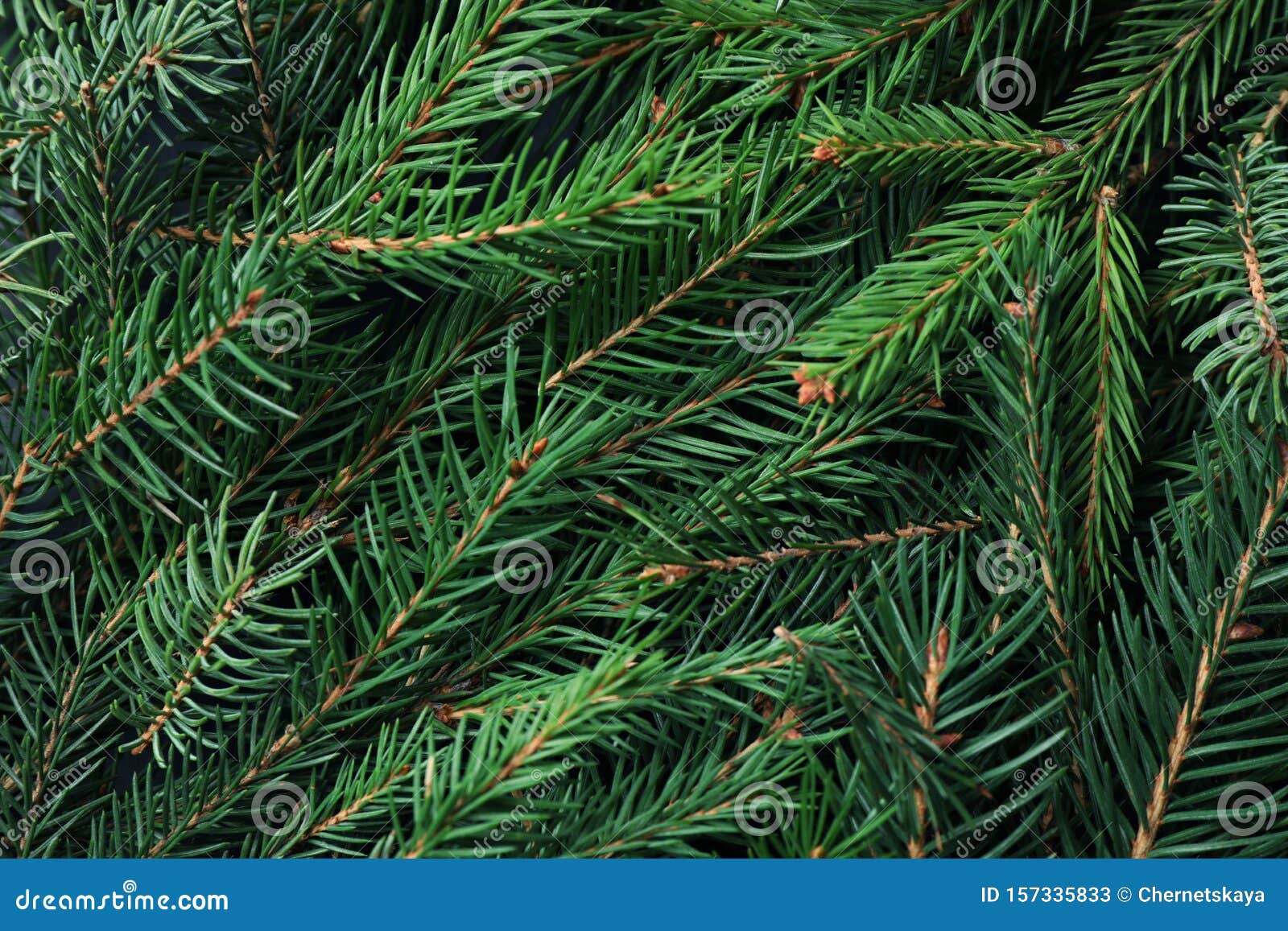 Branches of Fir Tree As , Closeup Stock Image - Image of holidays ...
