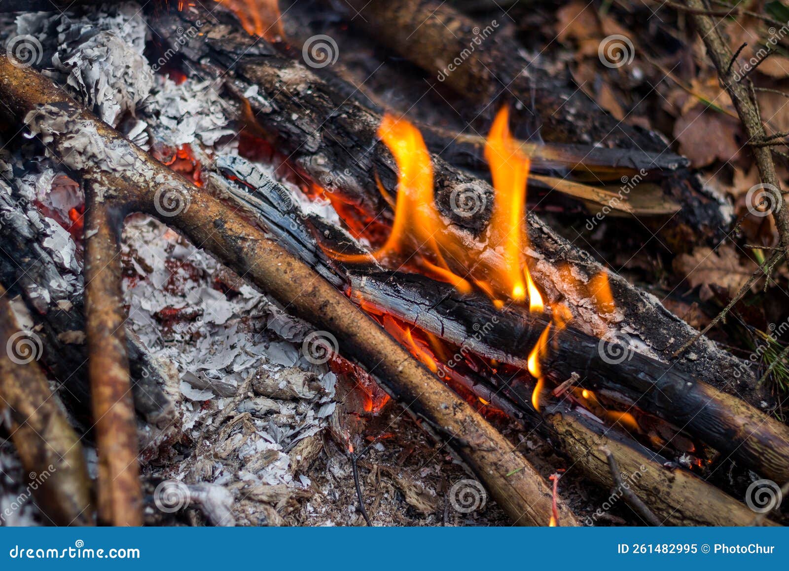 Branches on Fire in a Campfire Close Up Stock Image - Image of hike ...
