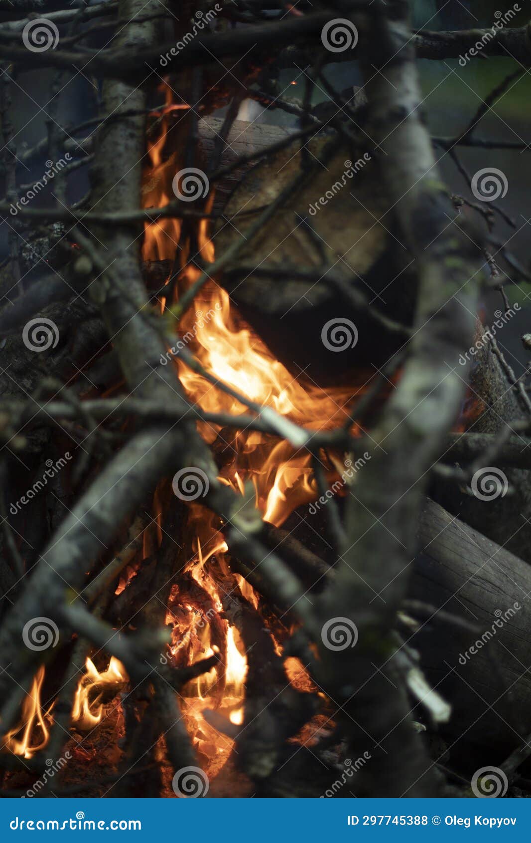 The Branches are on Fire. the Fire in the Forest Stock Photo - Image of ...