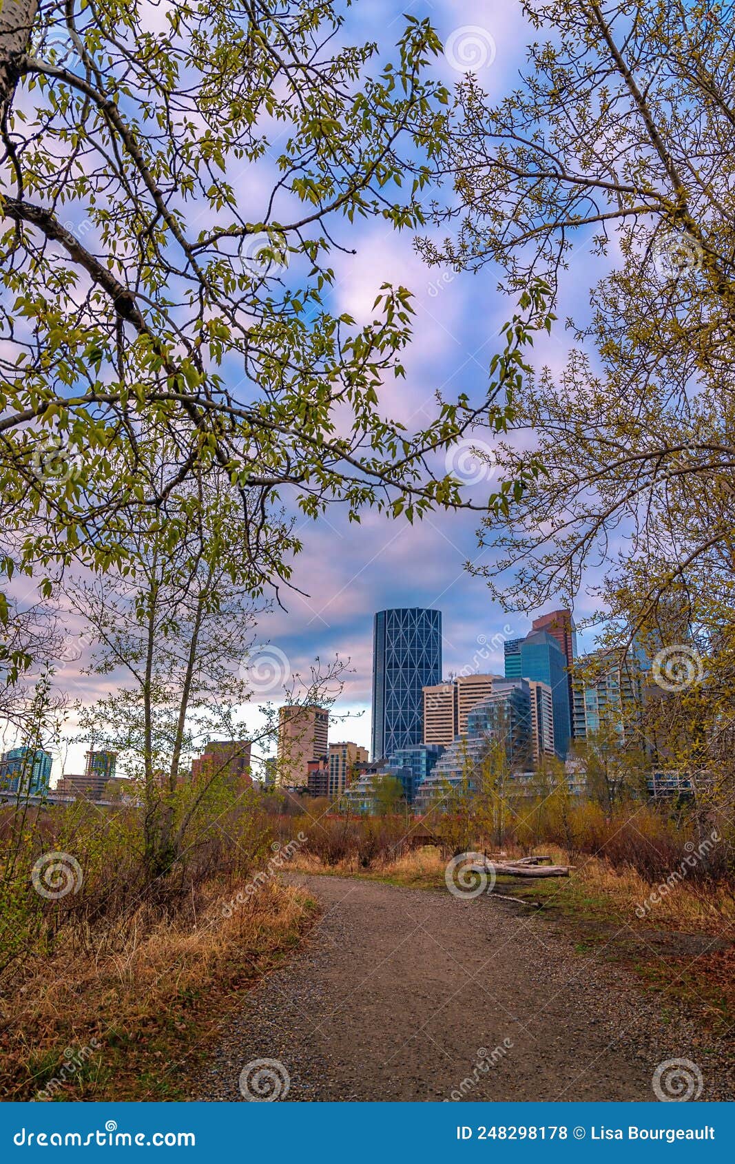 Spring Foliage Over a Pathway To Downtown Calgary Stock Photo - Image ...