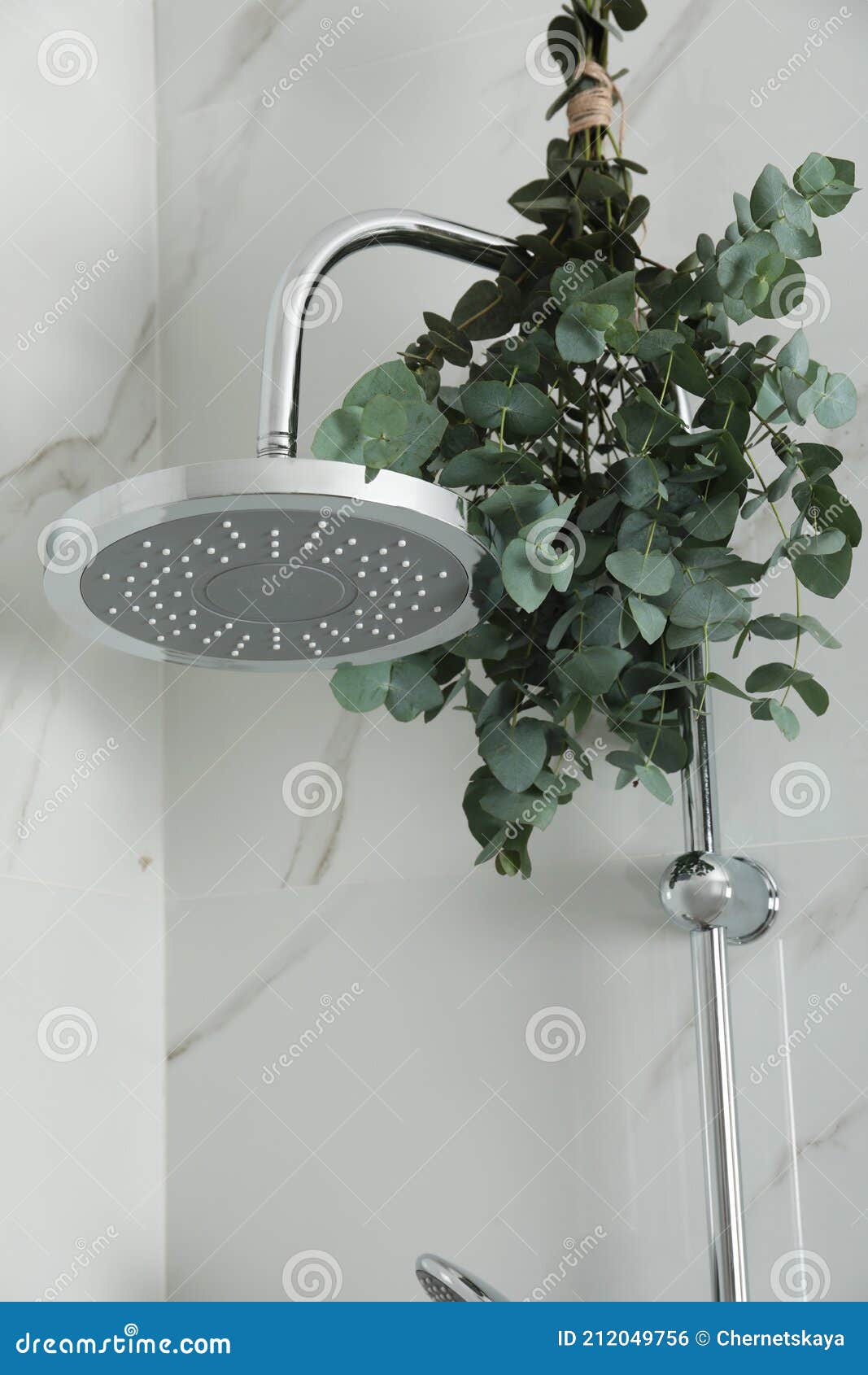 Branches with Green Eucalyptus Leaves in Shower Stock Photo - Image of ...
