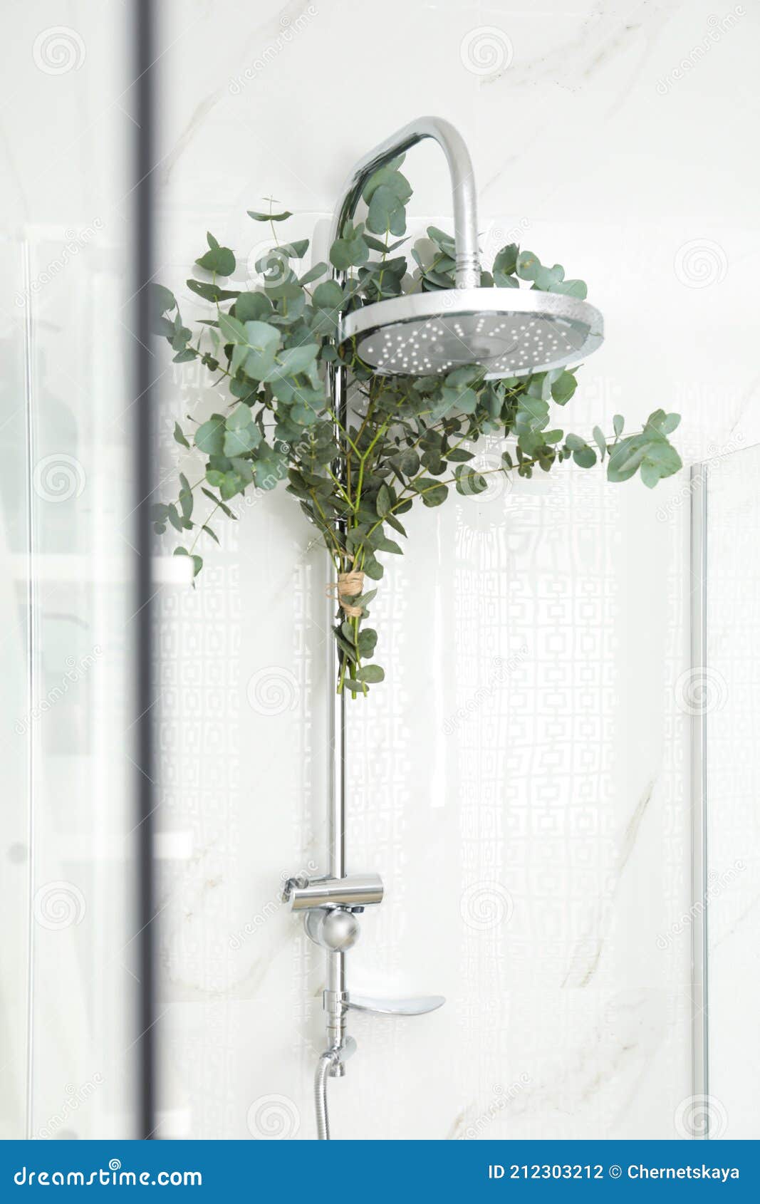 Branches with Green Eucalyptus Leaves in Shower Stock Photo - Image of ...