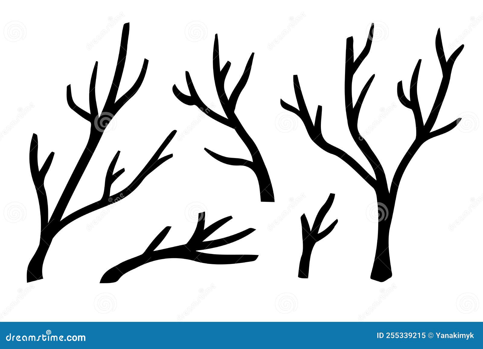 Branches Hand Drawn Set. Branch Ink Illustration. Design Element Stock ...