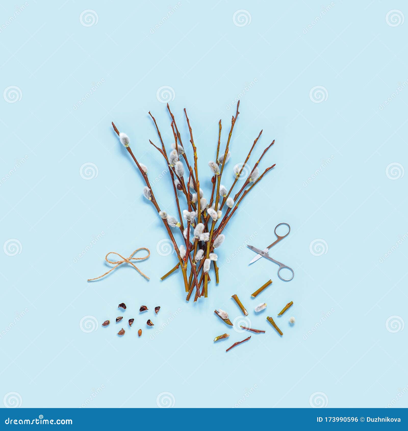 Branches with Kidneys, Scissors on a Light Background. Easter Spring ...