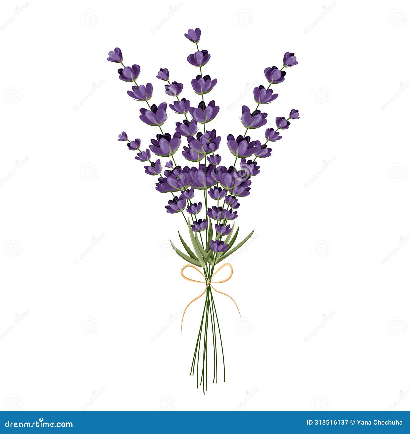 Branches of Lavender. for Design Cards, Banners and Patterns Stock ...