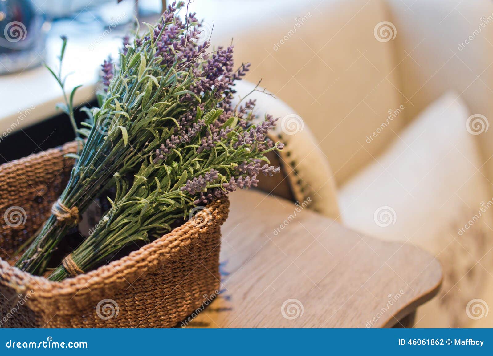 Branches lavender stock photo. Image of plant, wild, tiny - 46061862