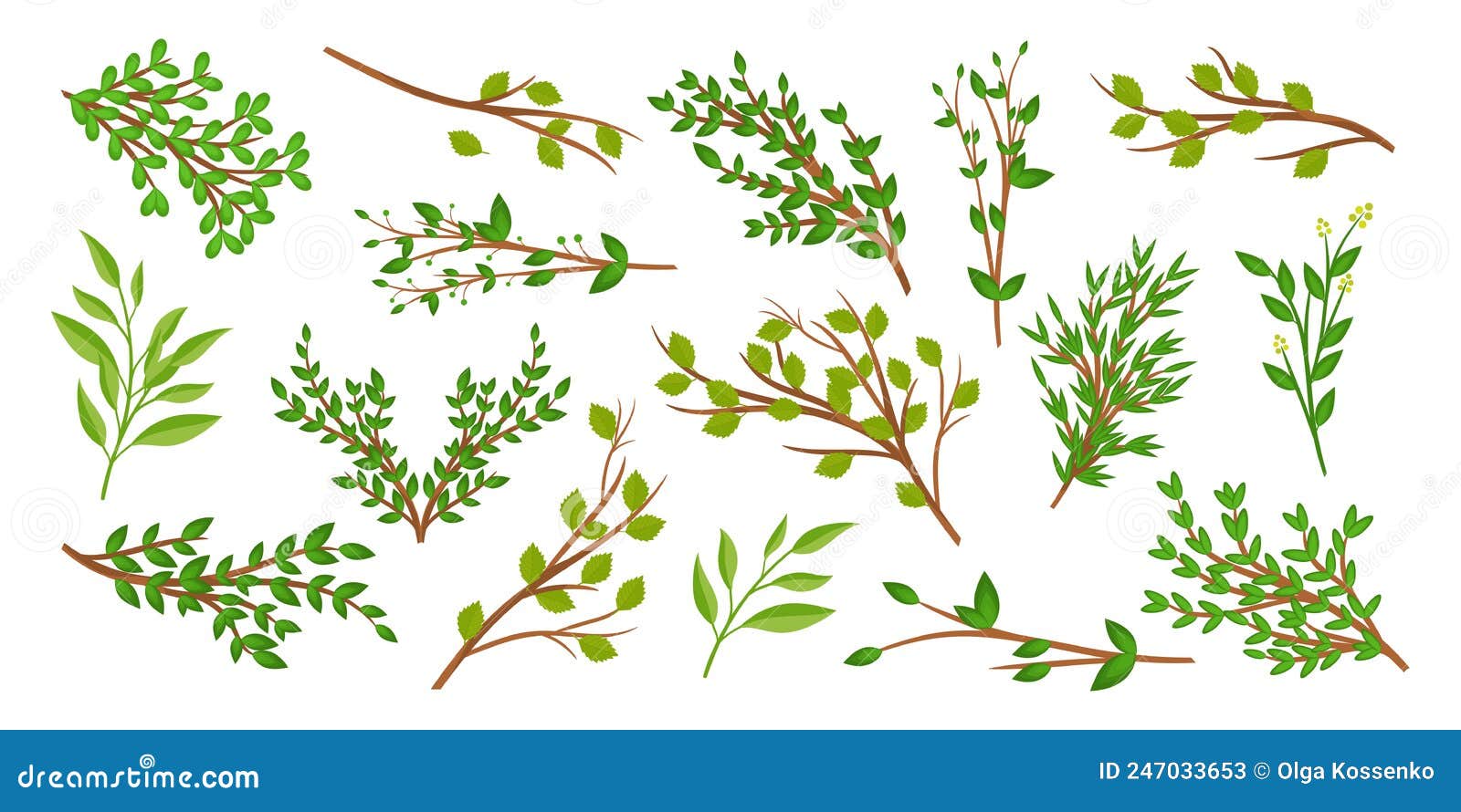Branches and Leaves. Vector Set. Stock Vector - Illustration of ...