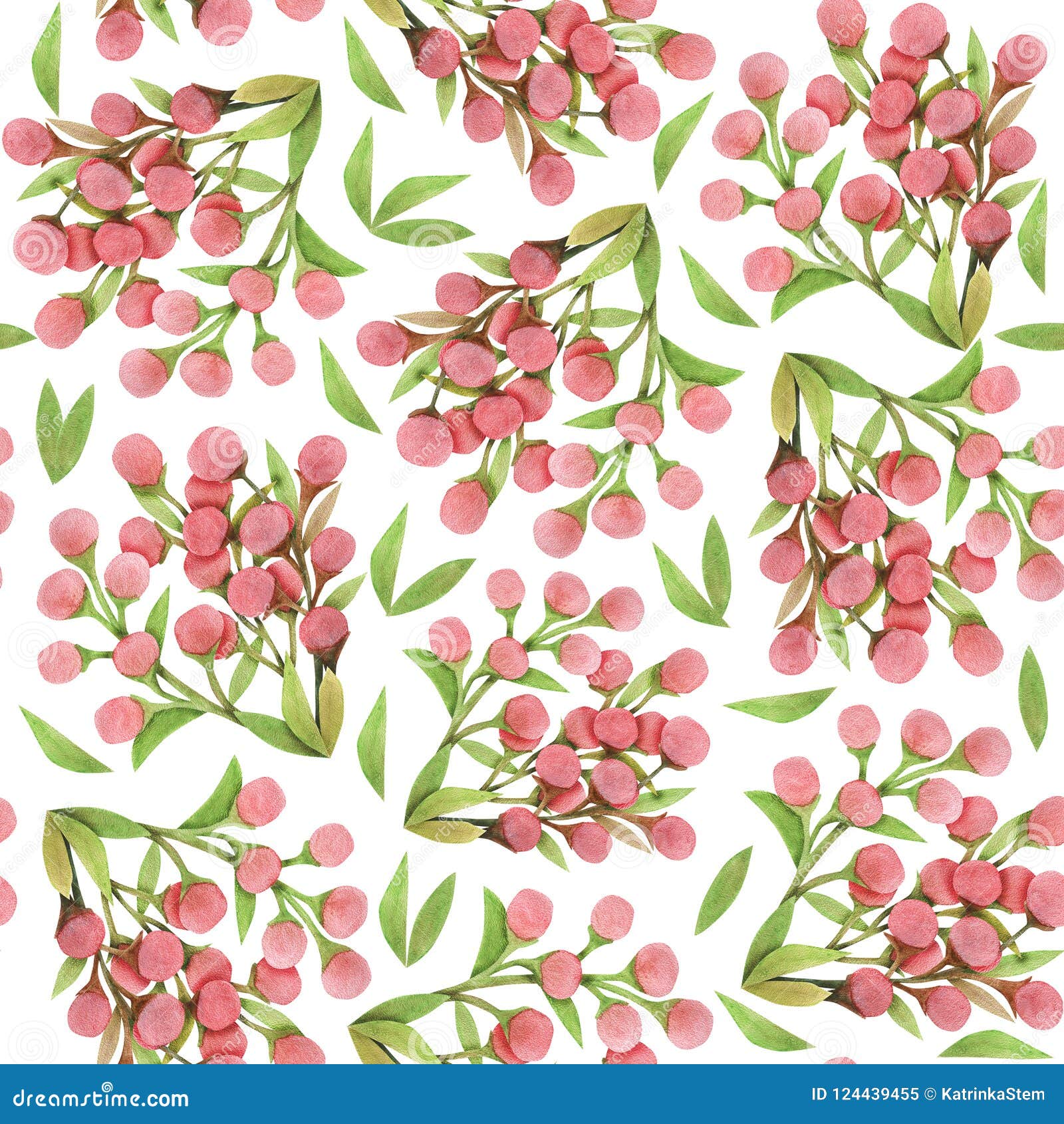 Sensitive Mimosa Pudica, Vintage Engraving Cartoon Vector ...