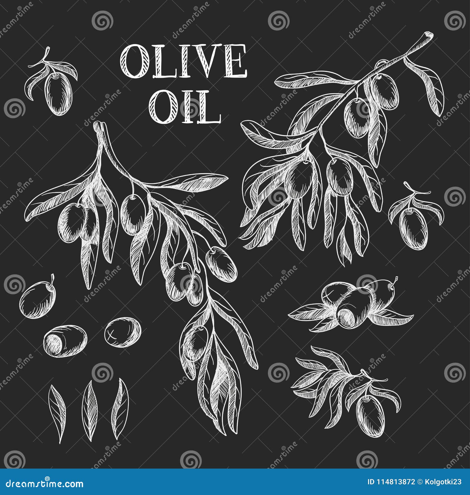 Branches of an Olive Tree with Fruits, Drawn in Chalk. Vector ...