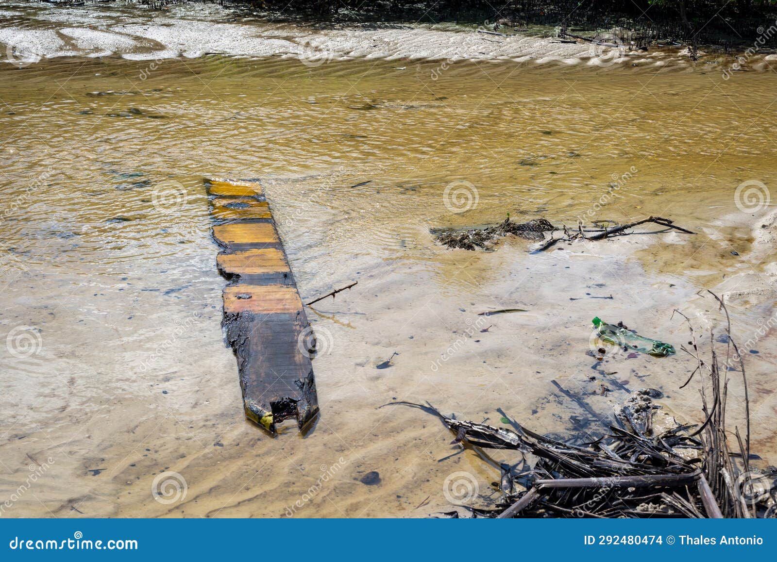 Branches and Piece of Wood Floating in a Yellow River Stock Photo ...