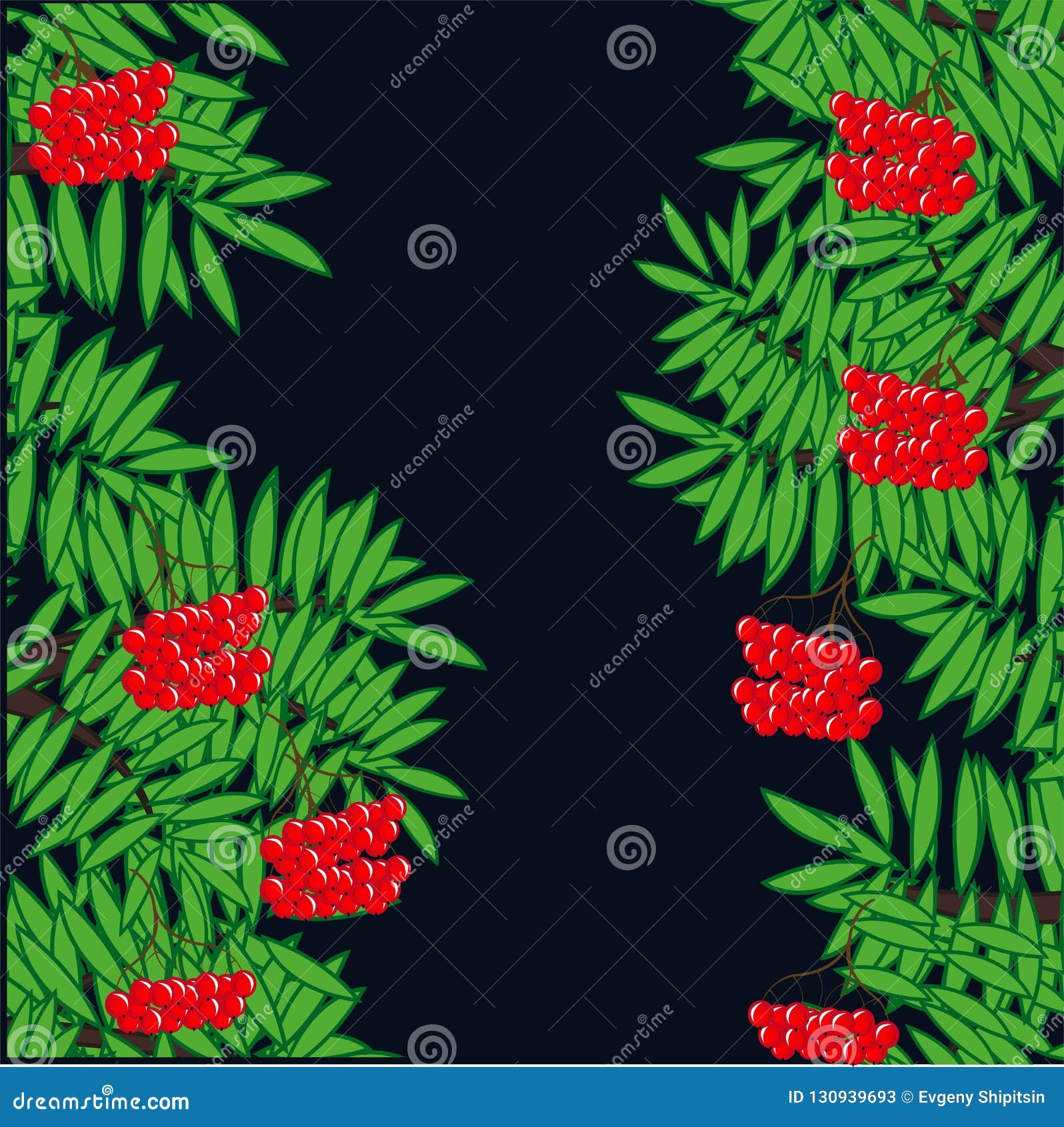 Branches of Ripe Rowanberry on Dark Background Stock Vector ...