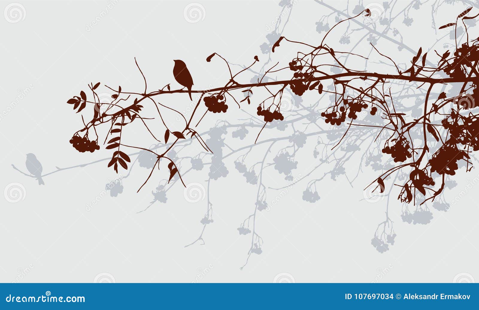 Branches of Rowan Trees in Autumn Forest Stock Vector - Illustration of ...