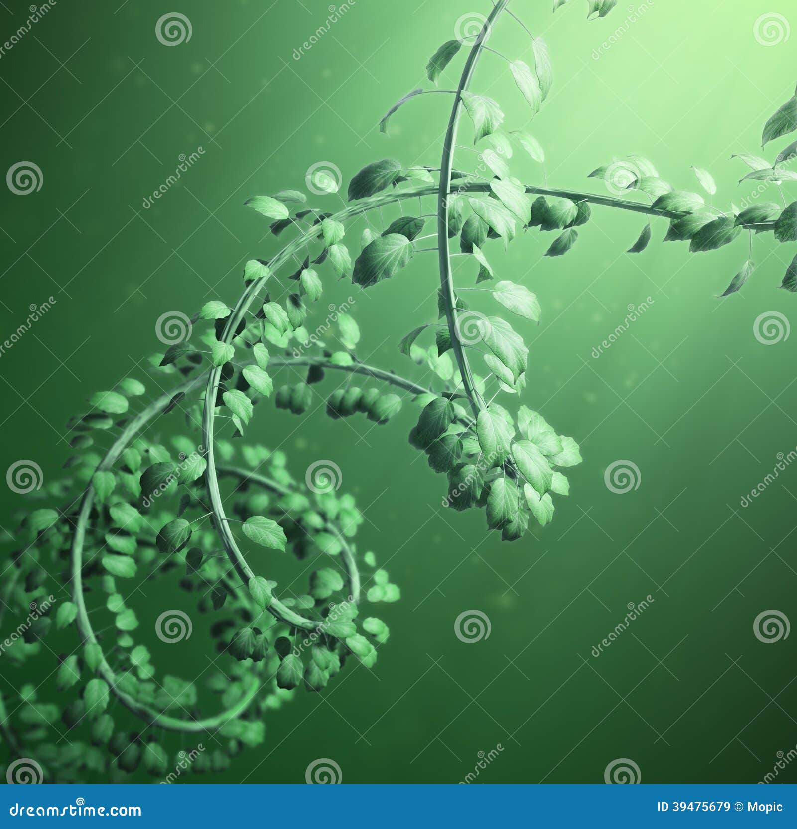 Branches Shaped Like a Double Helix Stock Illustration - Illustration ...