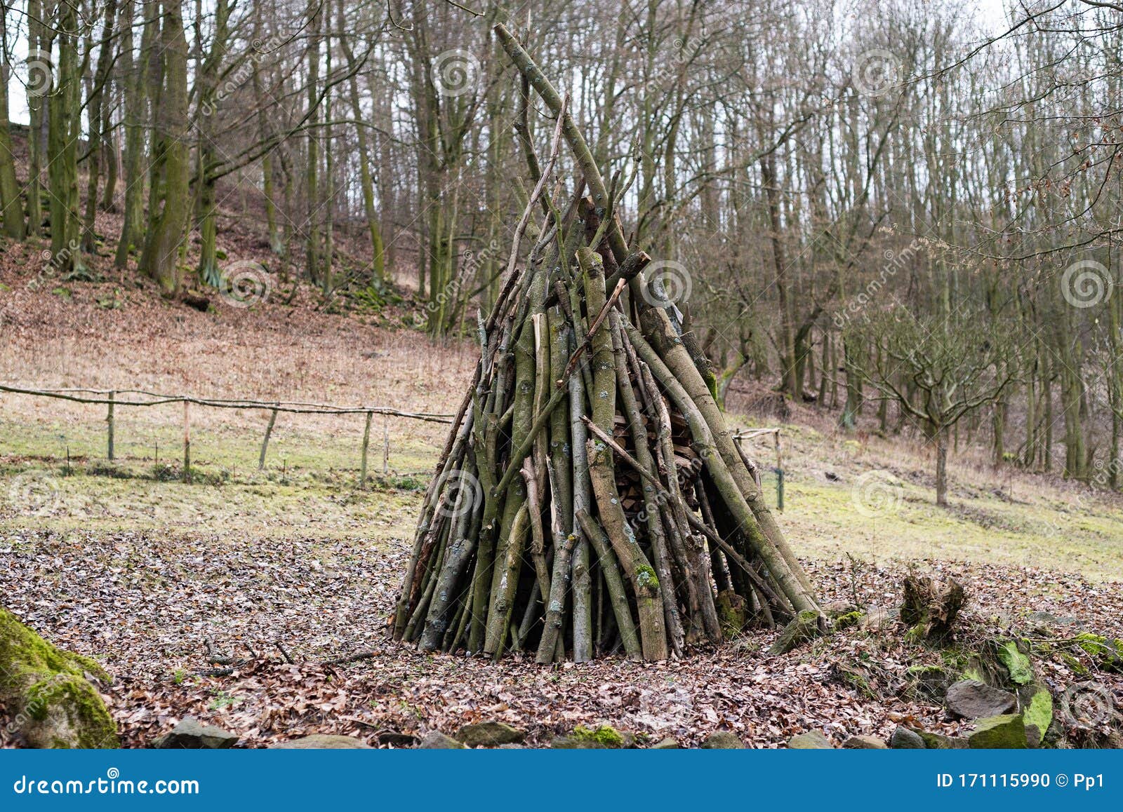 Branches Stack, Wood Lumber Pile Outdoor Stock Photo - Image of white ...