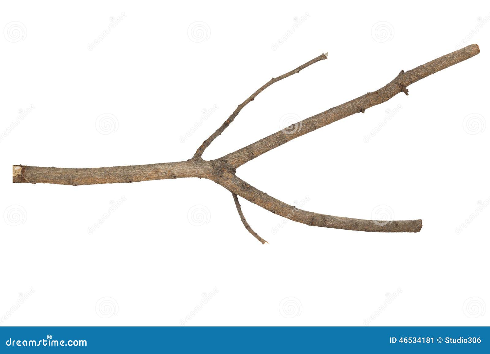 Branches Sticks stock image. Image of birch, nature, tree - 46534181