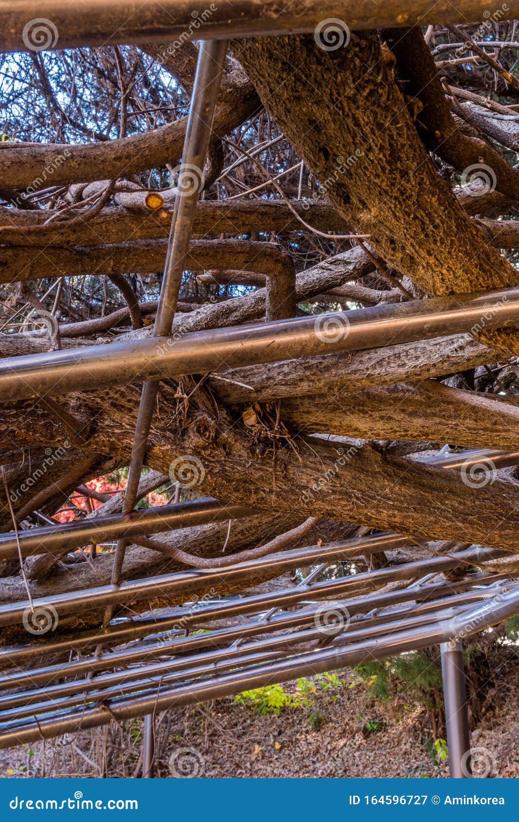 Branches on Top of Metal Frame Stock Image - Image of morph, bark ...