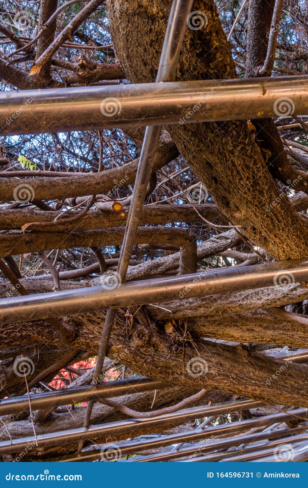 Branches on Top of Metal Frame Stock Image - Image of nature, korea ...