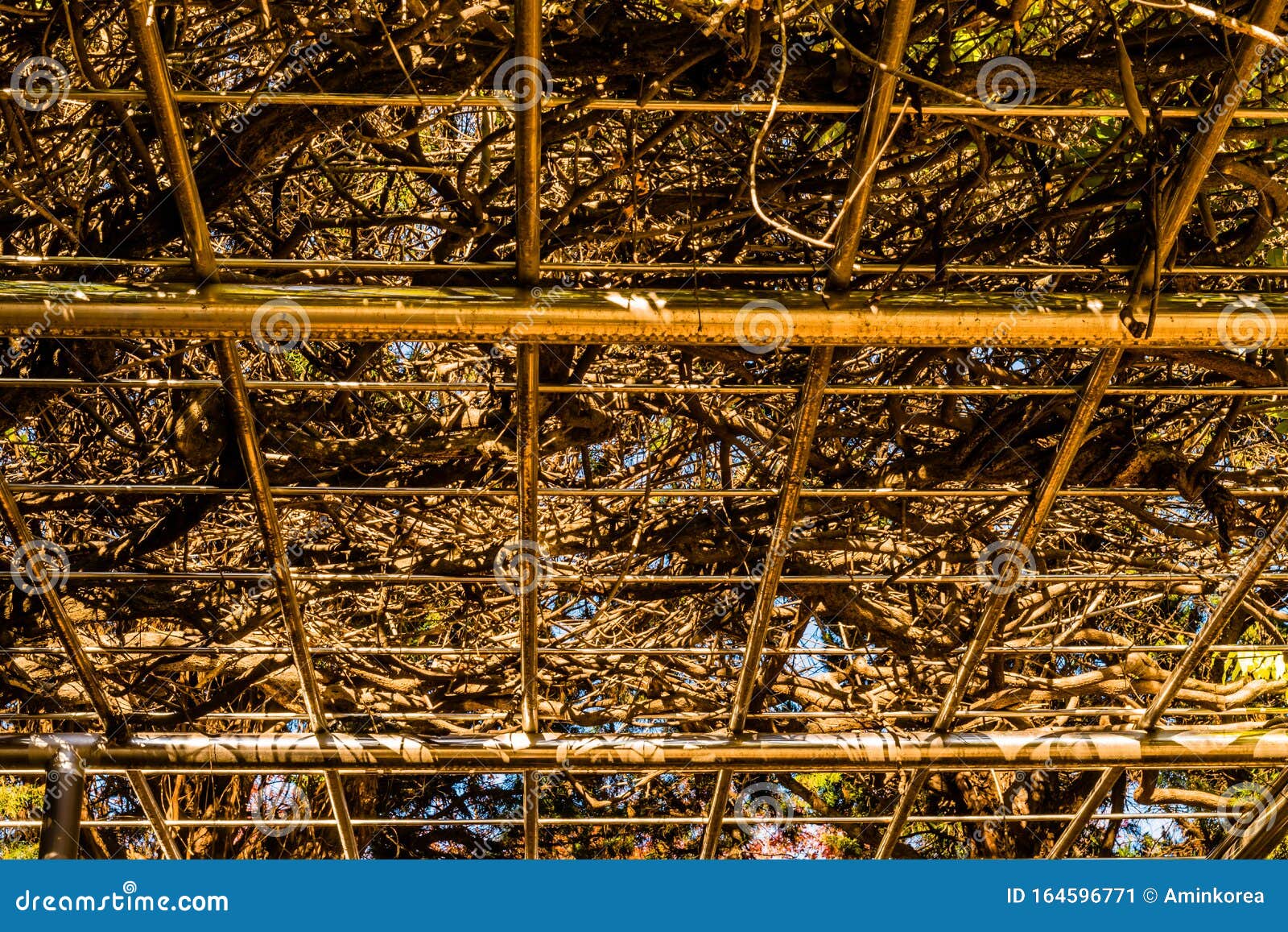 Branches on Top of Metal Frame Stock Image - Image of knot, metal ...
