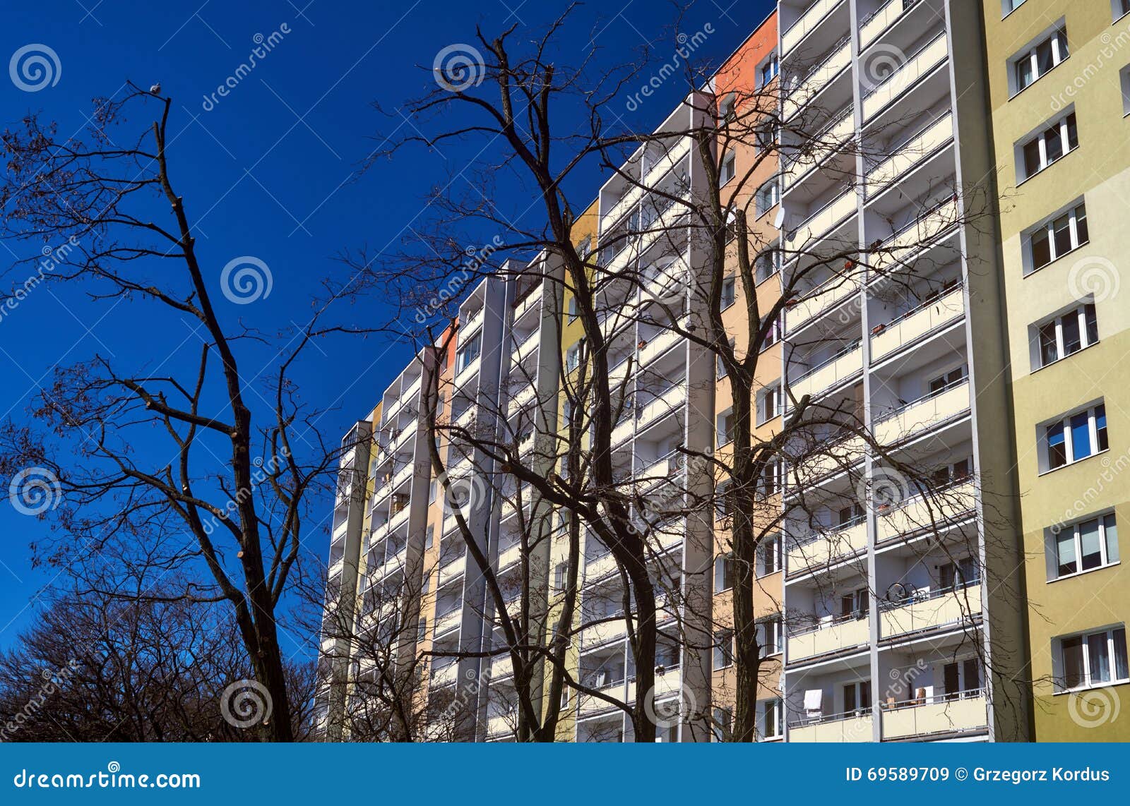 Branches of a Tree Against the Facade of a Modern Residential Building ...