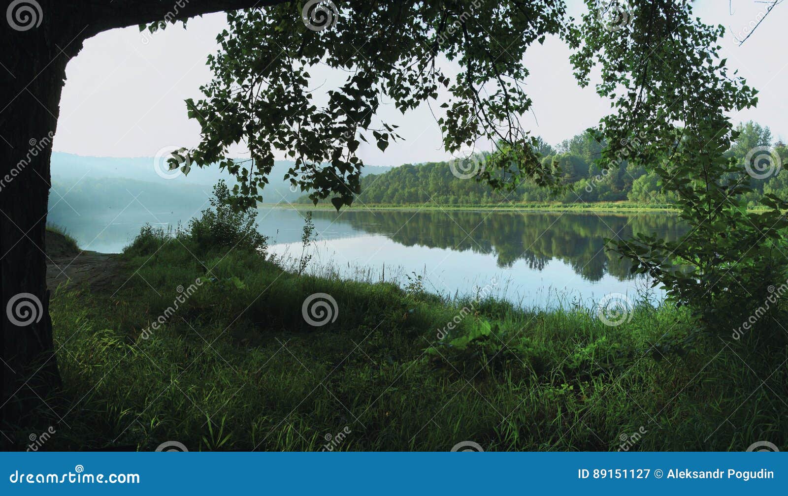 The Branches of Tree Overhanging the Bank of Quiet River Stock Image ...