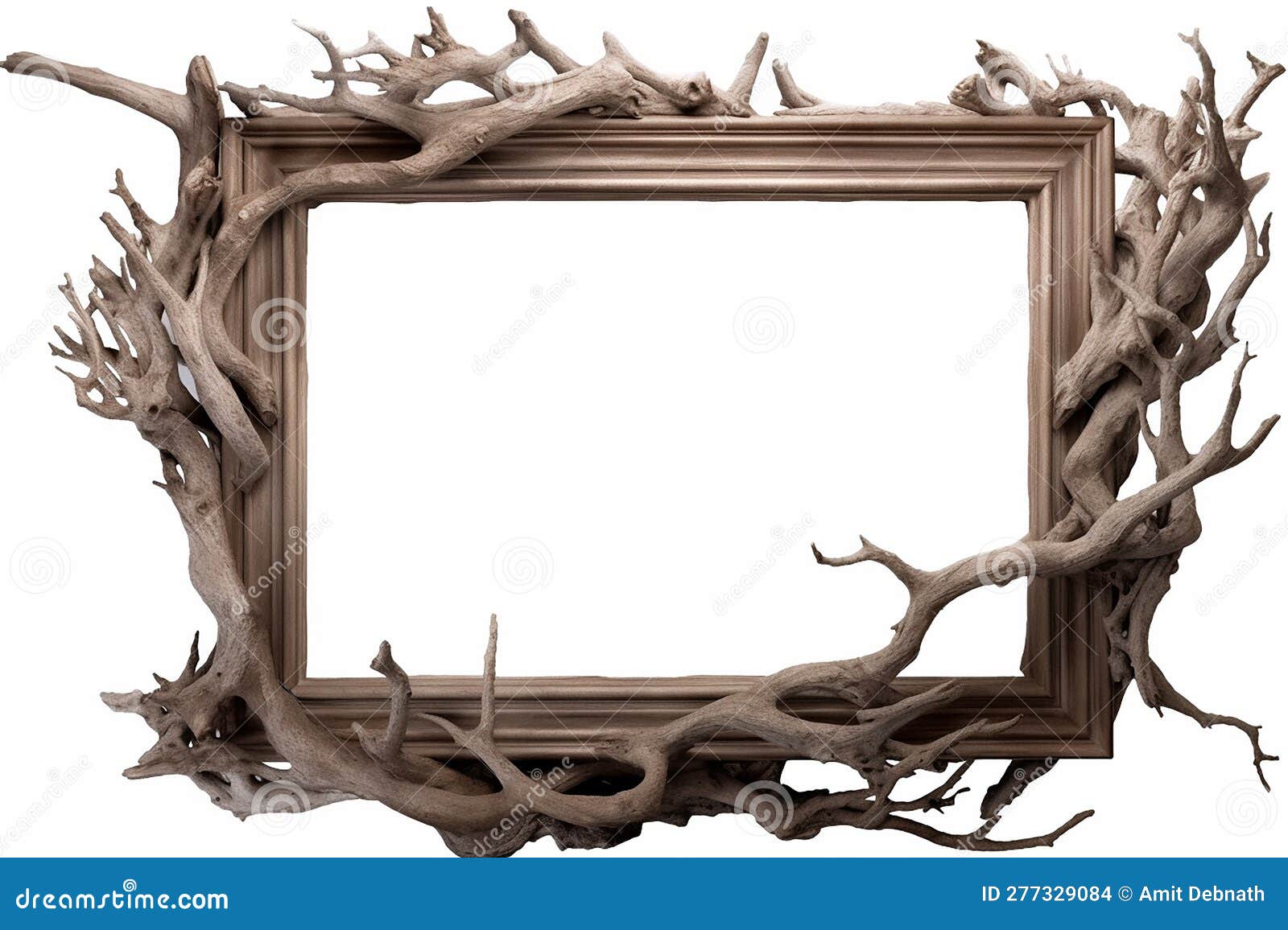 Branches of Tree Roots Frame an Empty Frame Stock Illustration ...