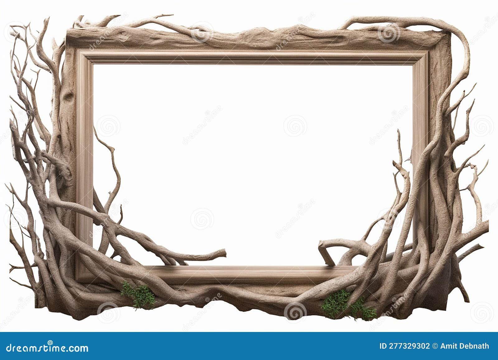 Branches of Tree Roots Frame an Empty Frame Stock Illustration ...
