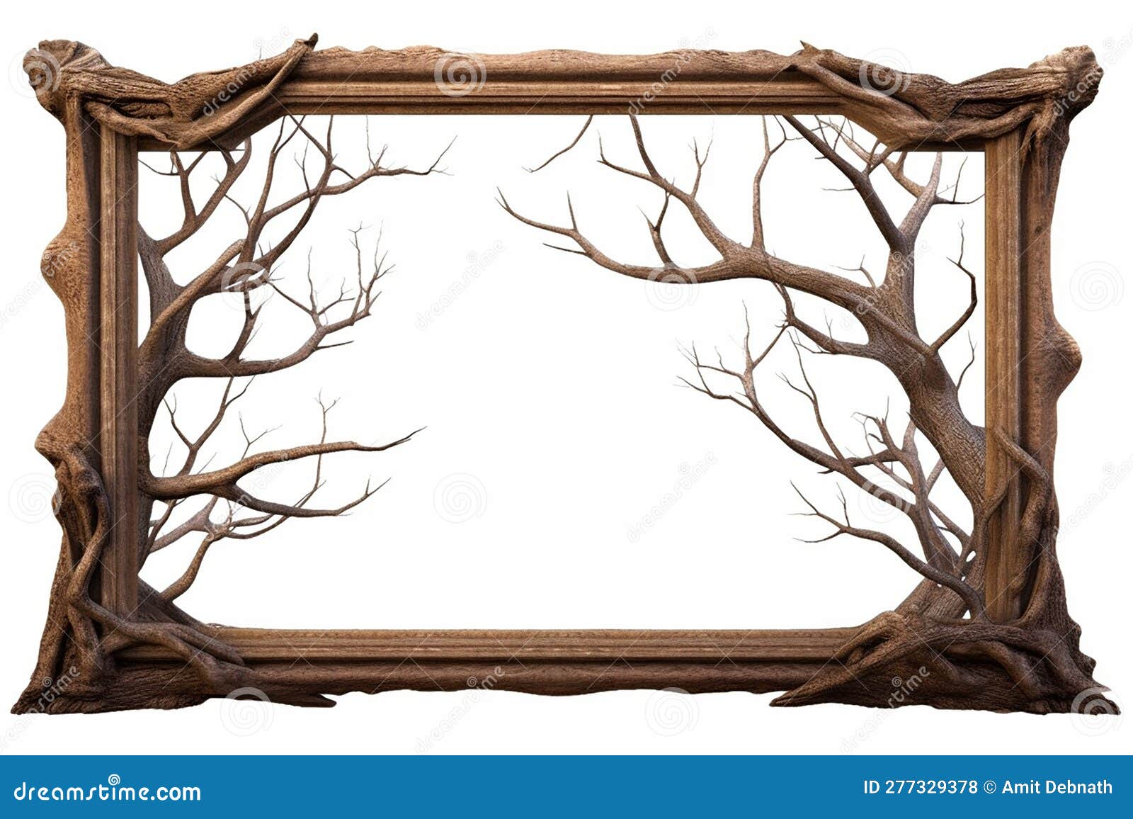 Branches of Tree Roots Frame an Empty Frame Stock Illustration ...