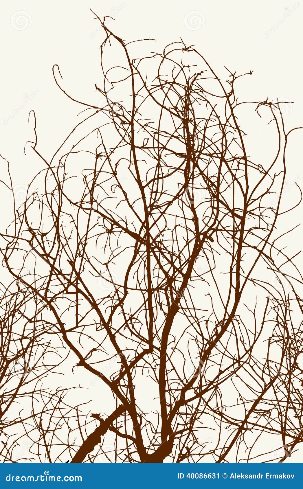 Branches of tree stock vector. Illustration of silhouette - 40086631