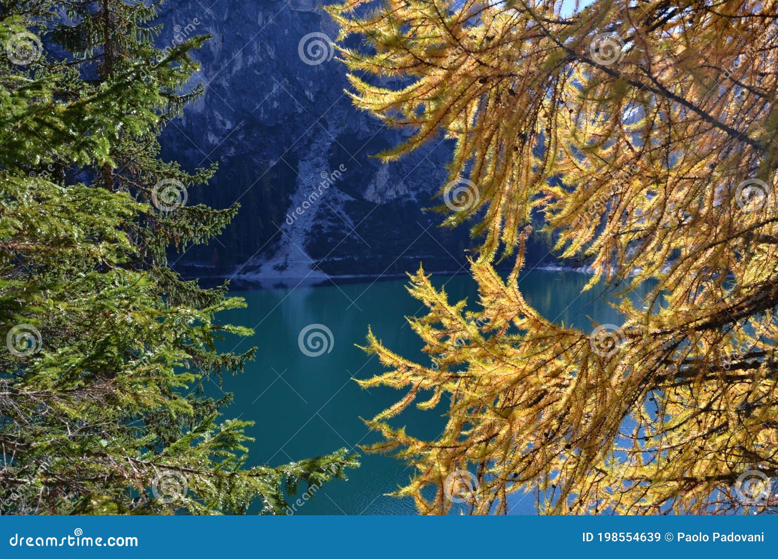 The frame of the lake stock image. Image of outdoor - 198554639