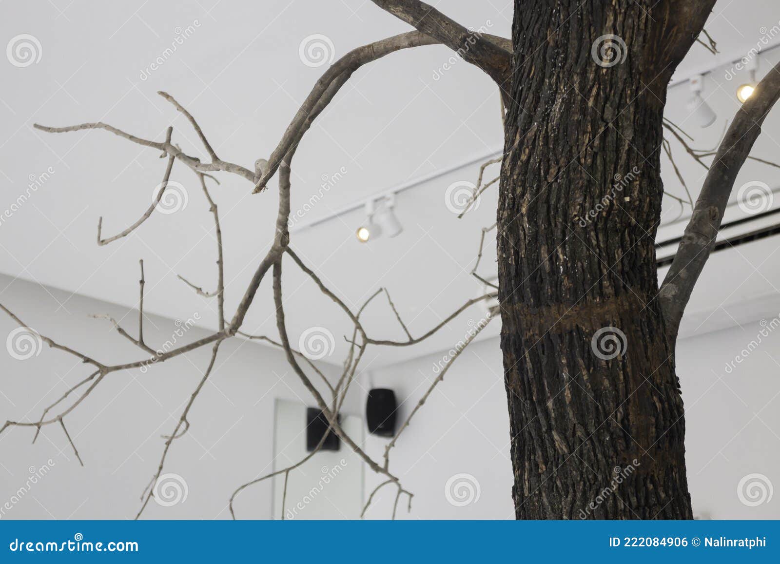 Branches of Trees Decorated in Cafe Stock Photo - Image of cosy, light ...