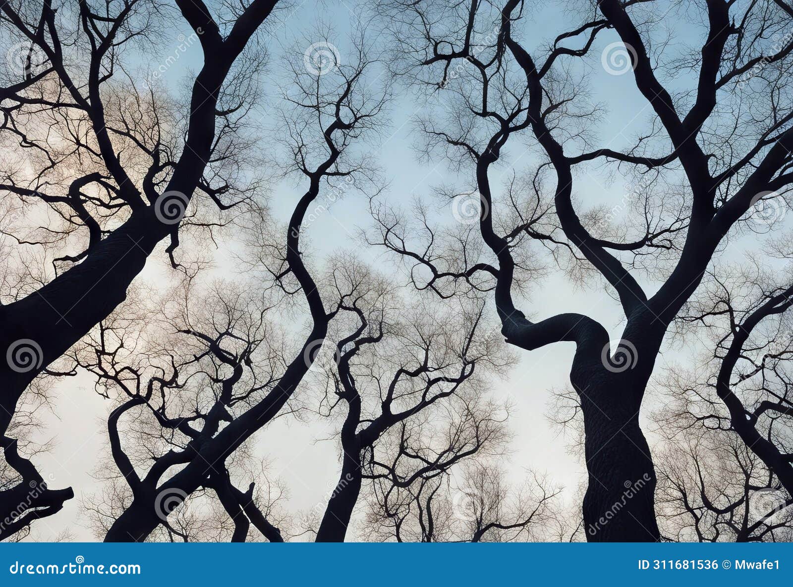 Branches of Trees Intertwine. Seamless Pattern Natural Theme. Branches ...
