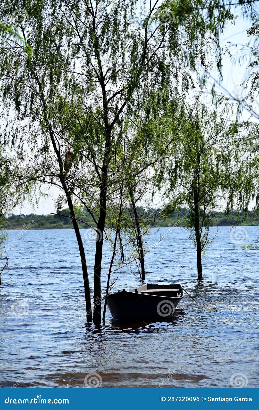 A single boat in the water stock photo. Image of nature - 287220096