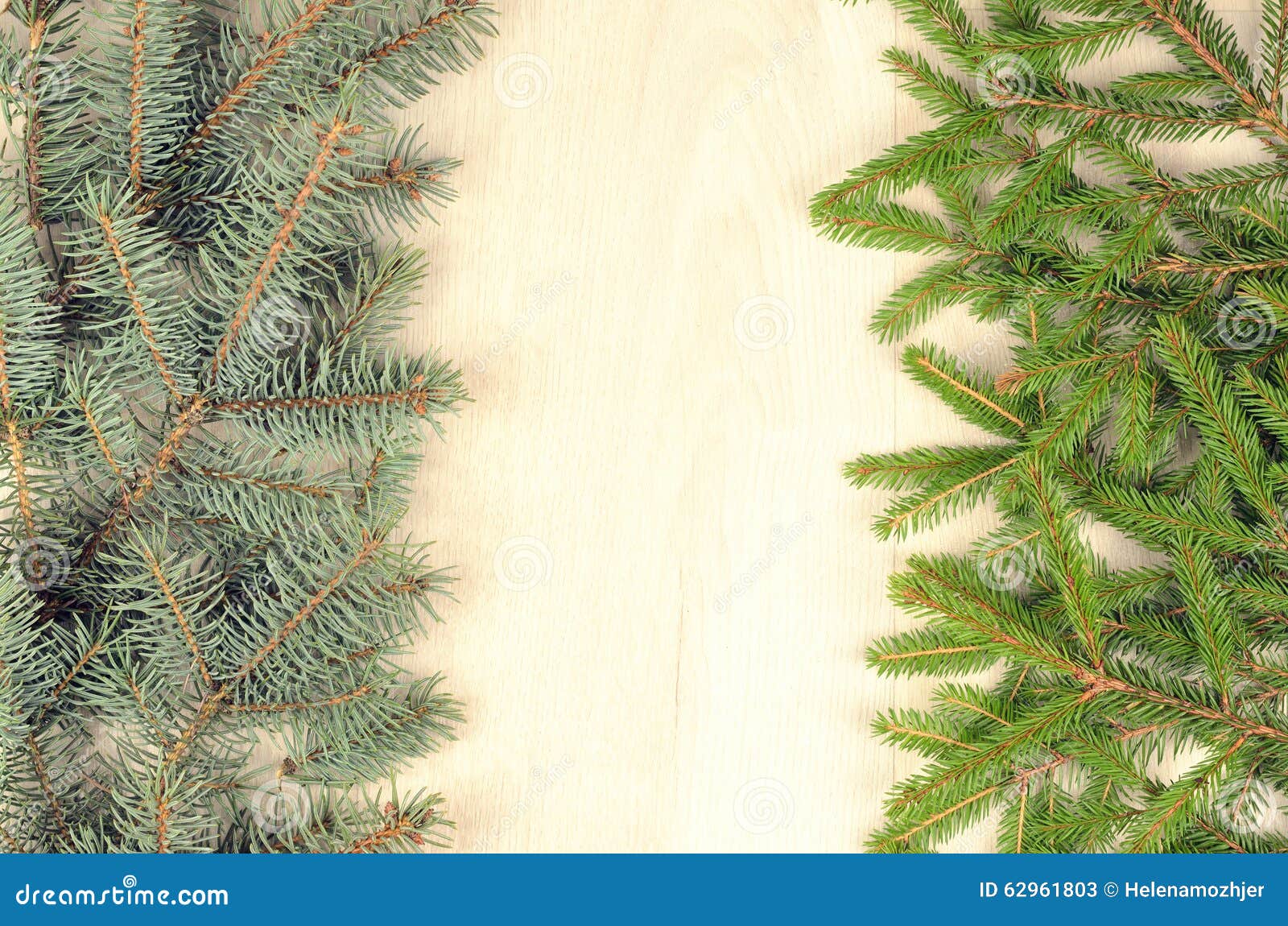 Branches of Two Varieties Spruce on a Wooden Background Stock Image ...