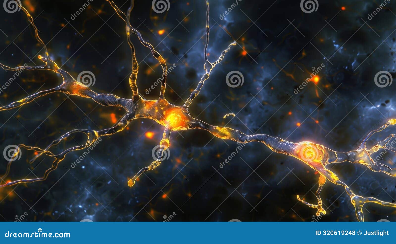 The Branching Axon of a Neuron Filled with Integrated Synaptic Inputs ...