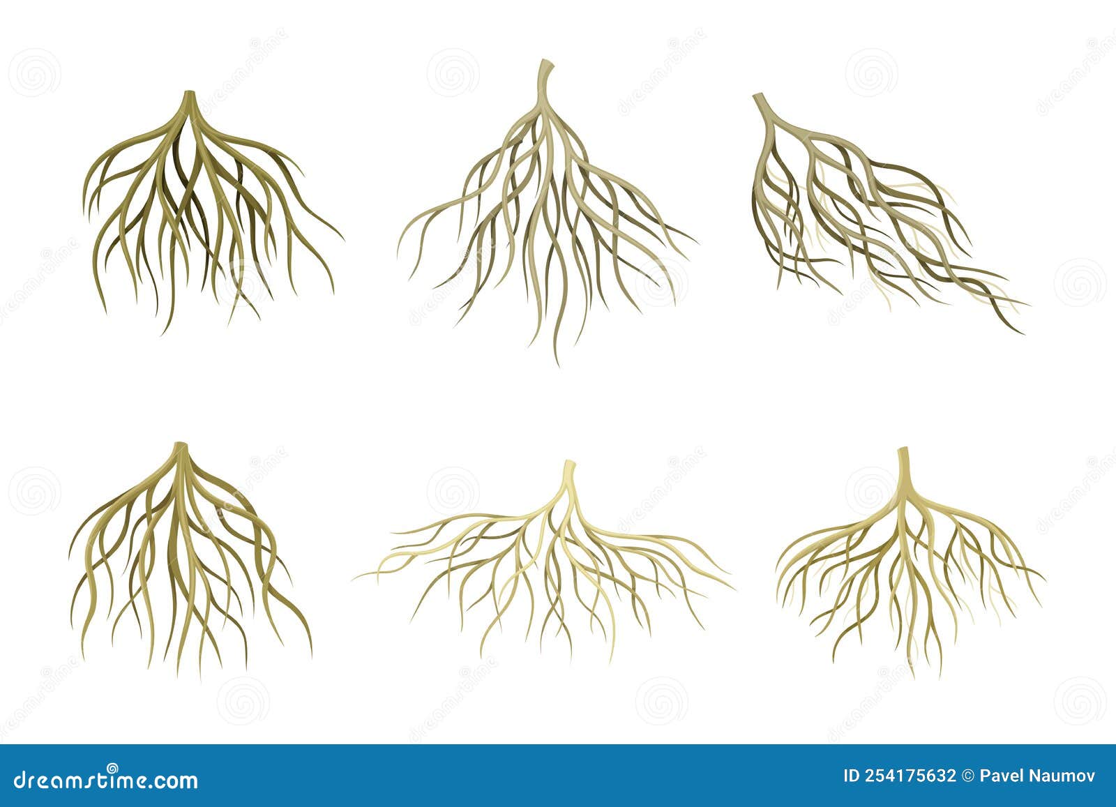 Branching Root As Tree Part Below the Surface of Soil Vector Set Stock ...
