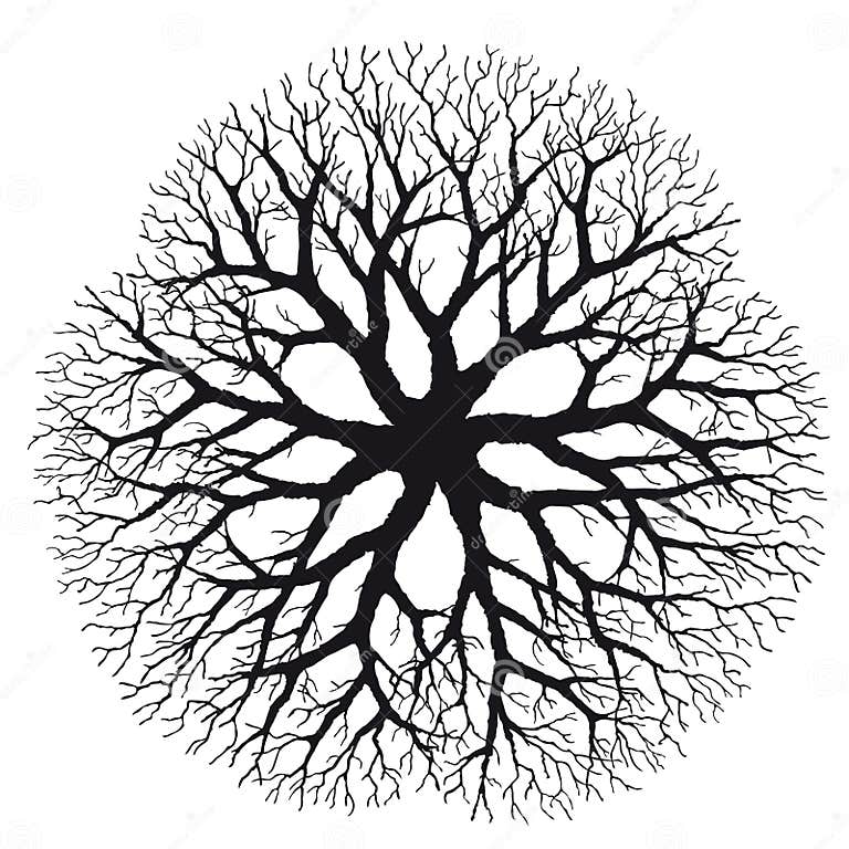 Branching (vector) stock vector. Illustration of focus - 7556589