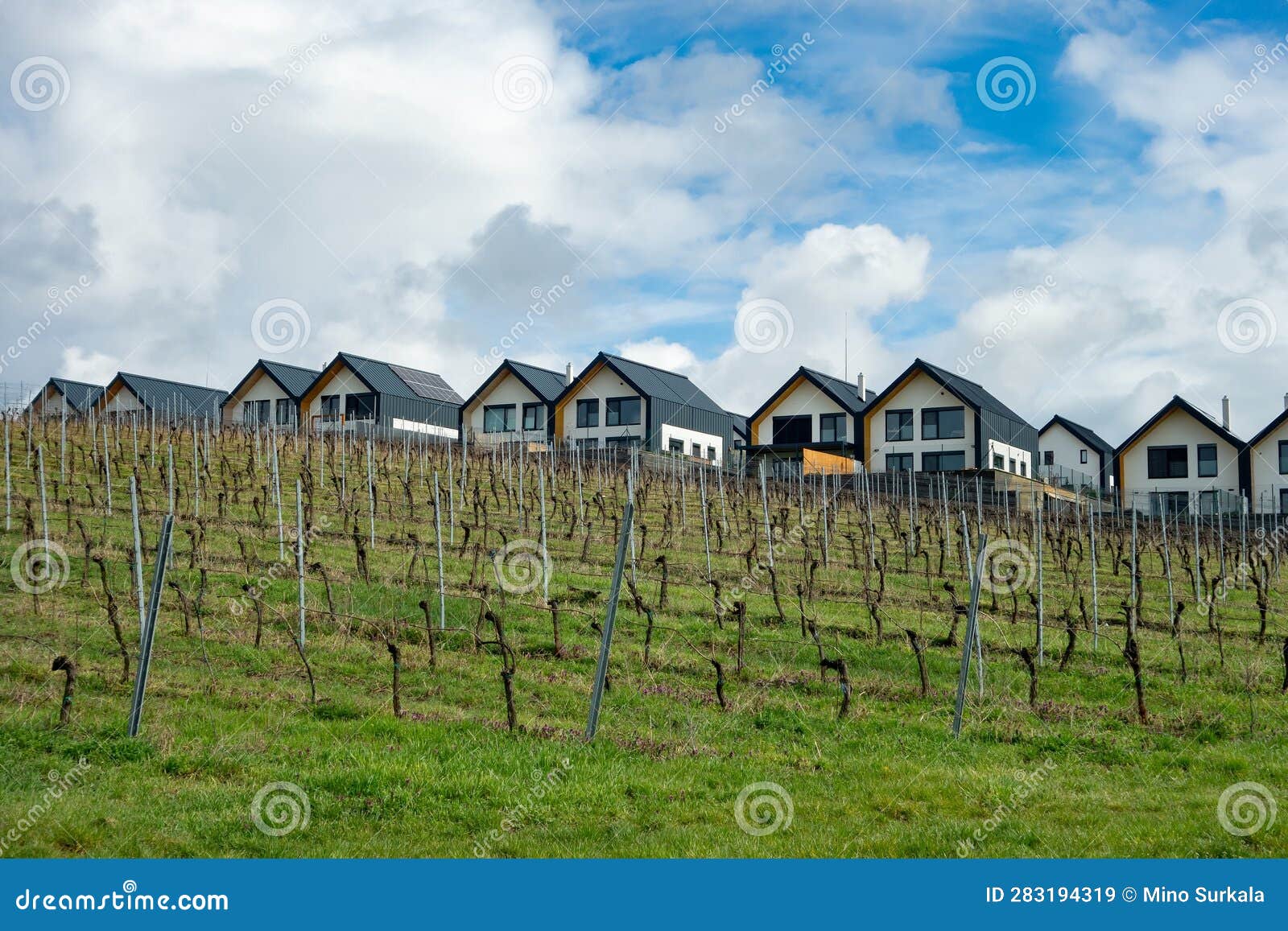 Brand New Row Houses Build by Developer Behind Vineyards Stock Image ...