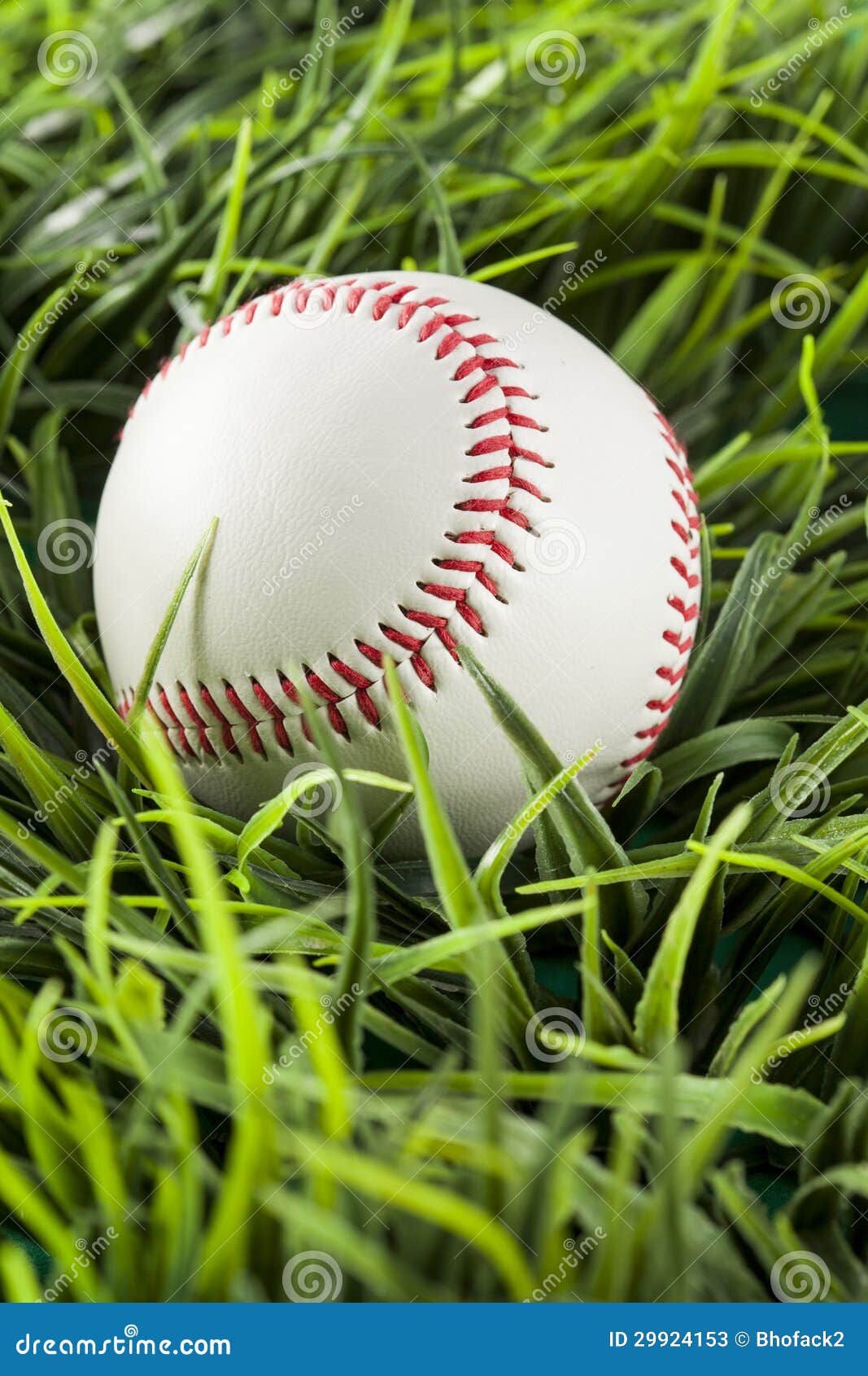 New White Baseball in Green Grass Stock Image - Image of seam, sphere ...