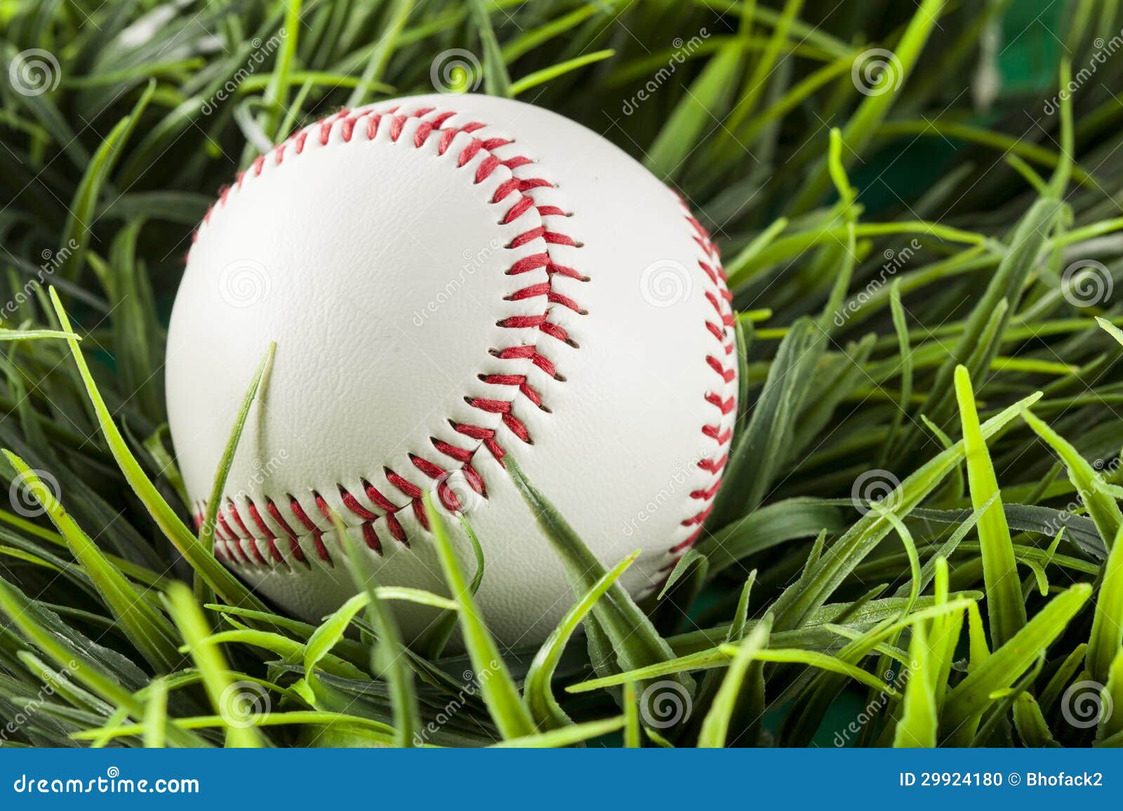 New White Baseball in Green Grass Stock Photo - Image of equipment ...