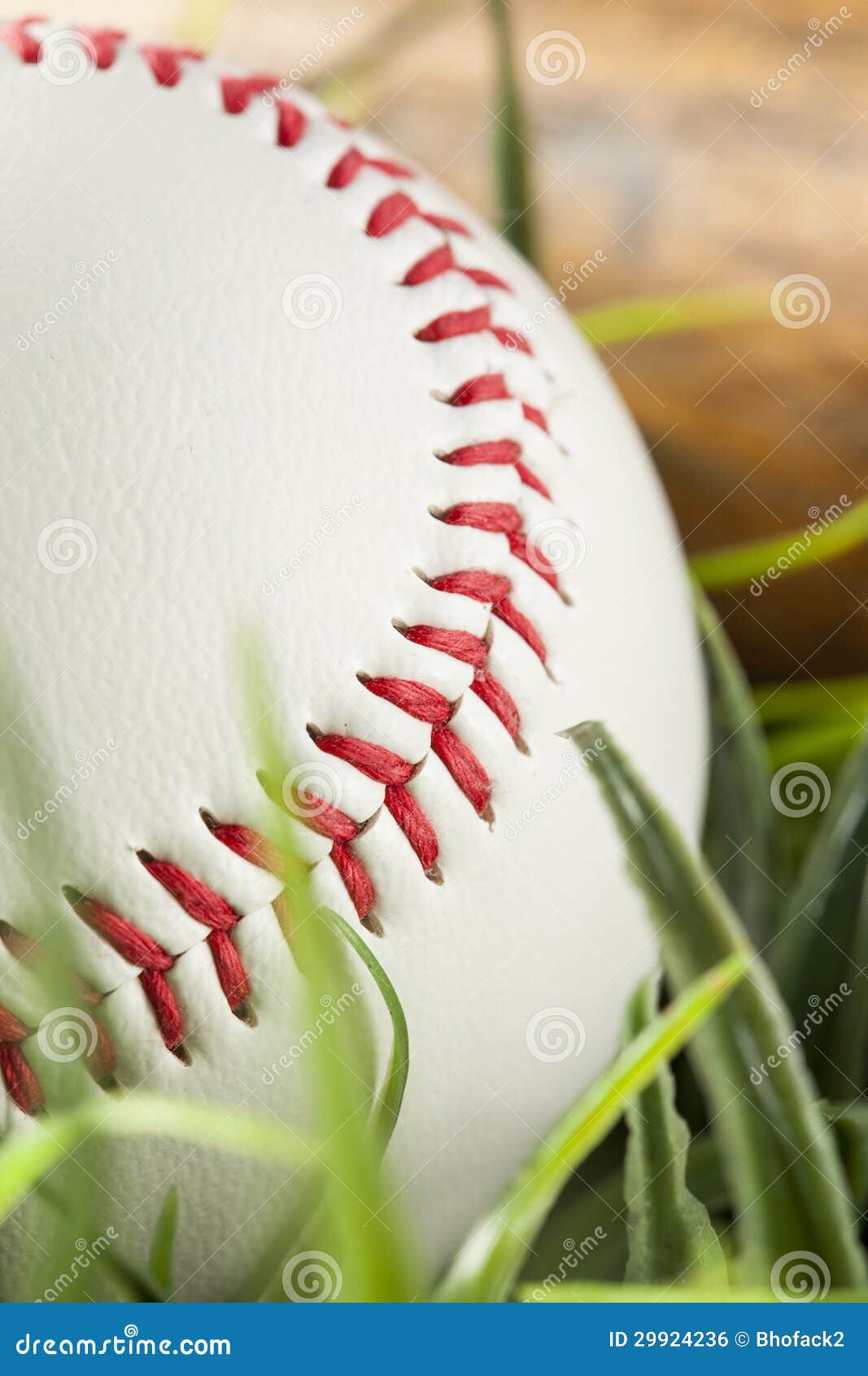 New White Baseball in Green Grass Stock Photo - Image of american ...
