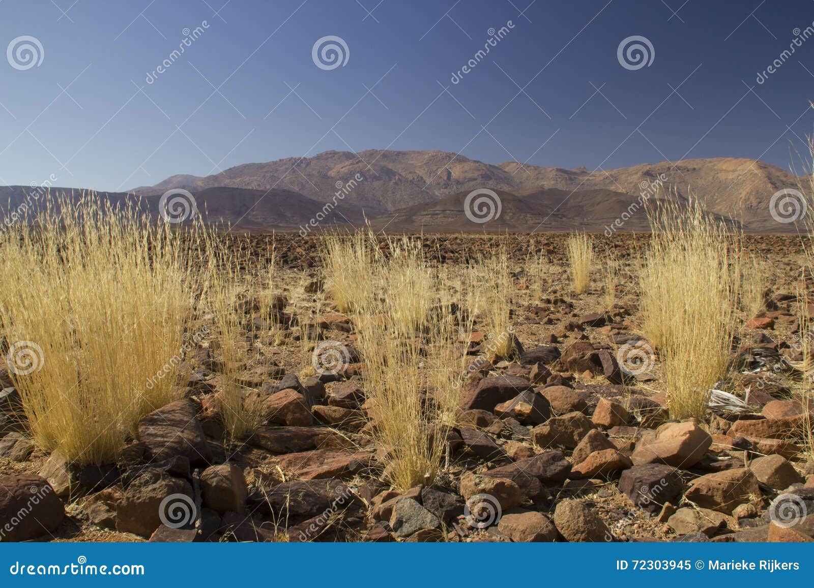 Brandberg, The Highest Mountain Of Namibia, Damaraland Royalty-Free ...