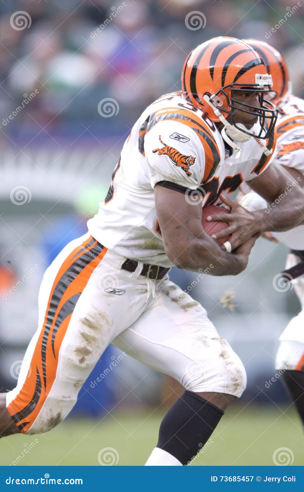 Brandon Bennett editorial photography. Image of bengals - 73685457